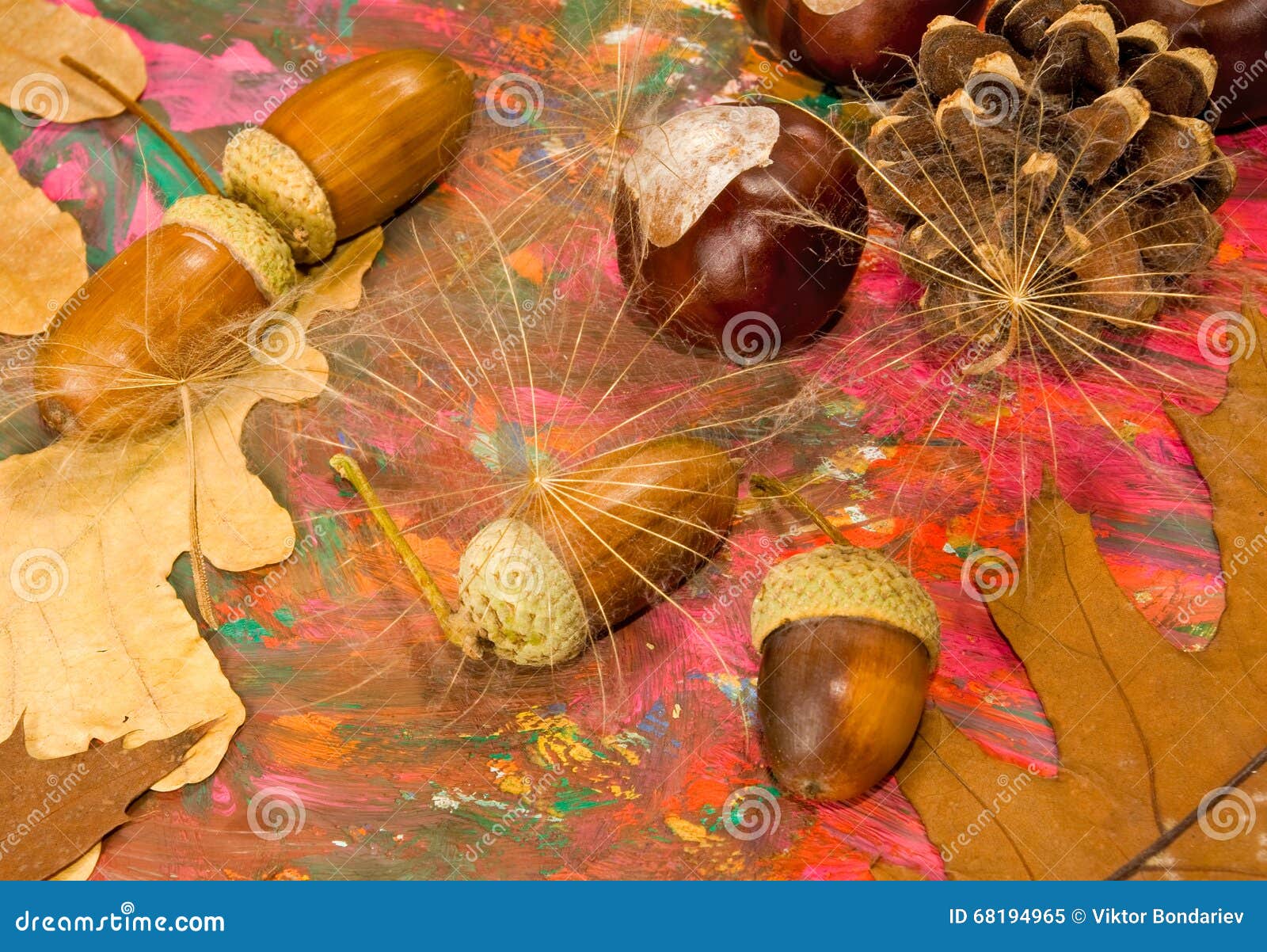 Image of Acorn, Chestnut and Bumpon on a Multicolored Background ...