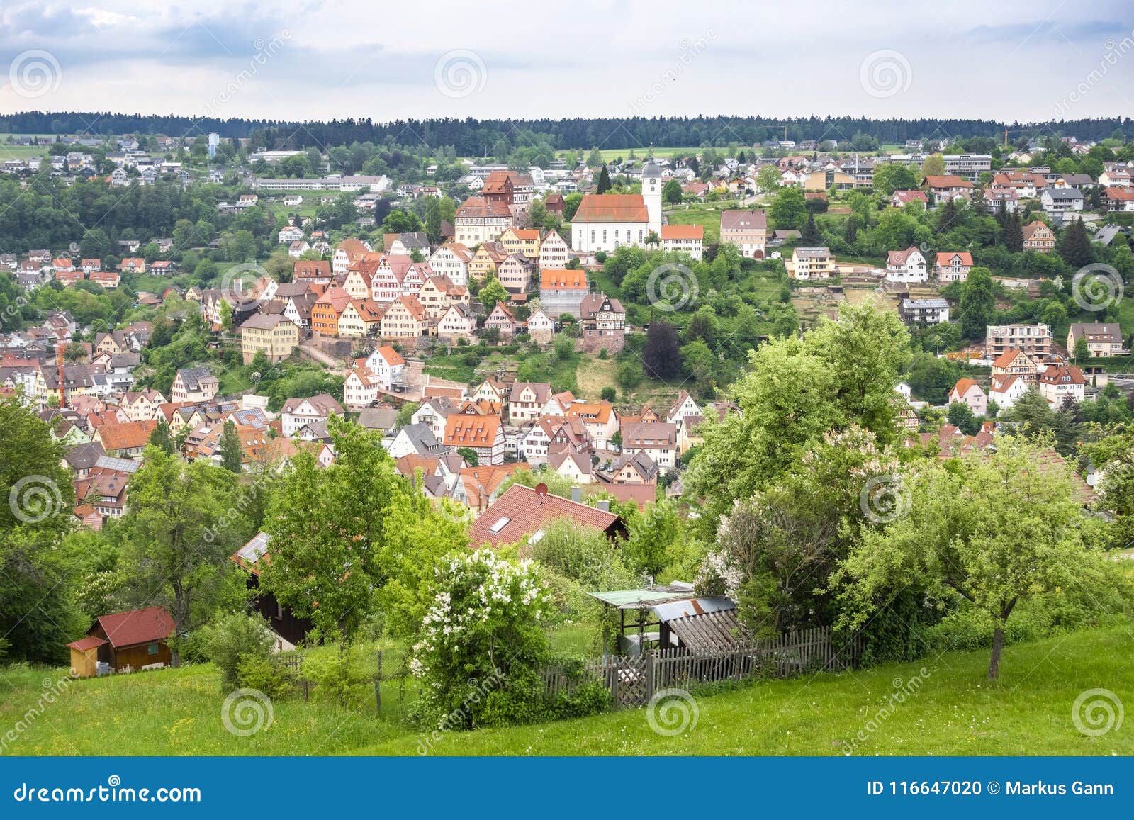 Altensteig Germany Black Forest Area Stock Photo - Image of castle ...