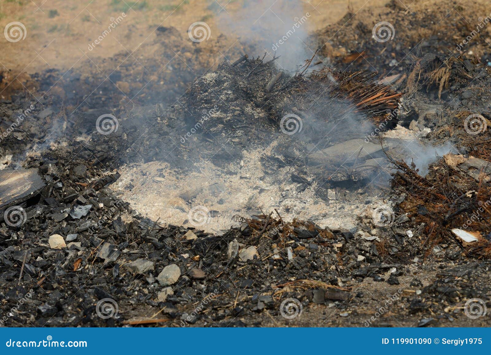 Ashes on an Extinct Fire Close-up Stock Photo - Image of campfire ...