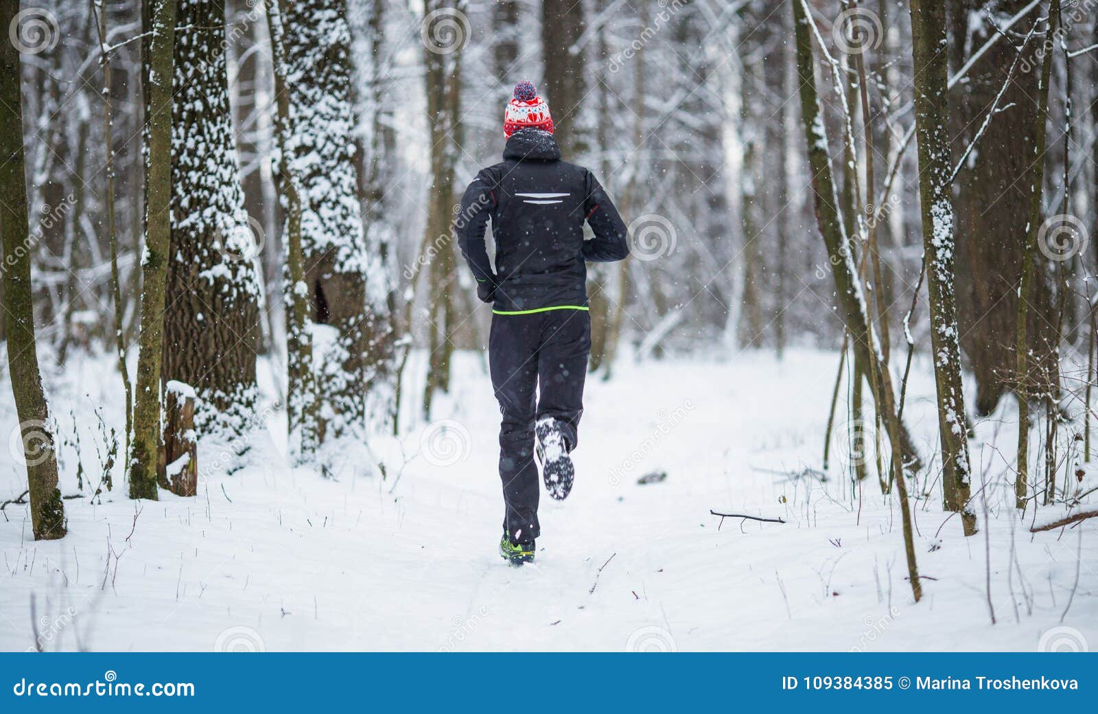 Image from Back of Running Athlete among Trees in Winter Forest Stock ...