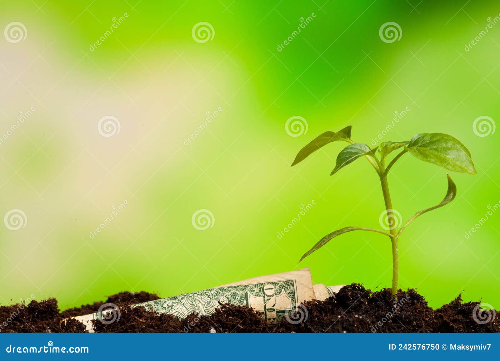 Image of Bank Notes Rolled Around Plants on Soil for Business Stock ...