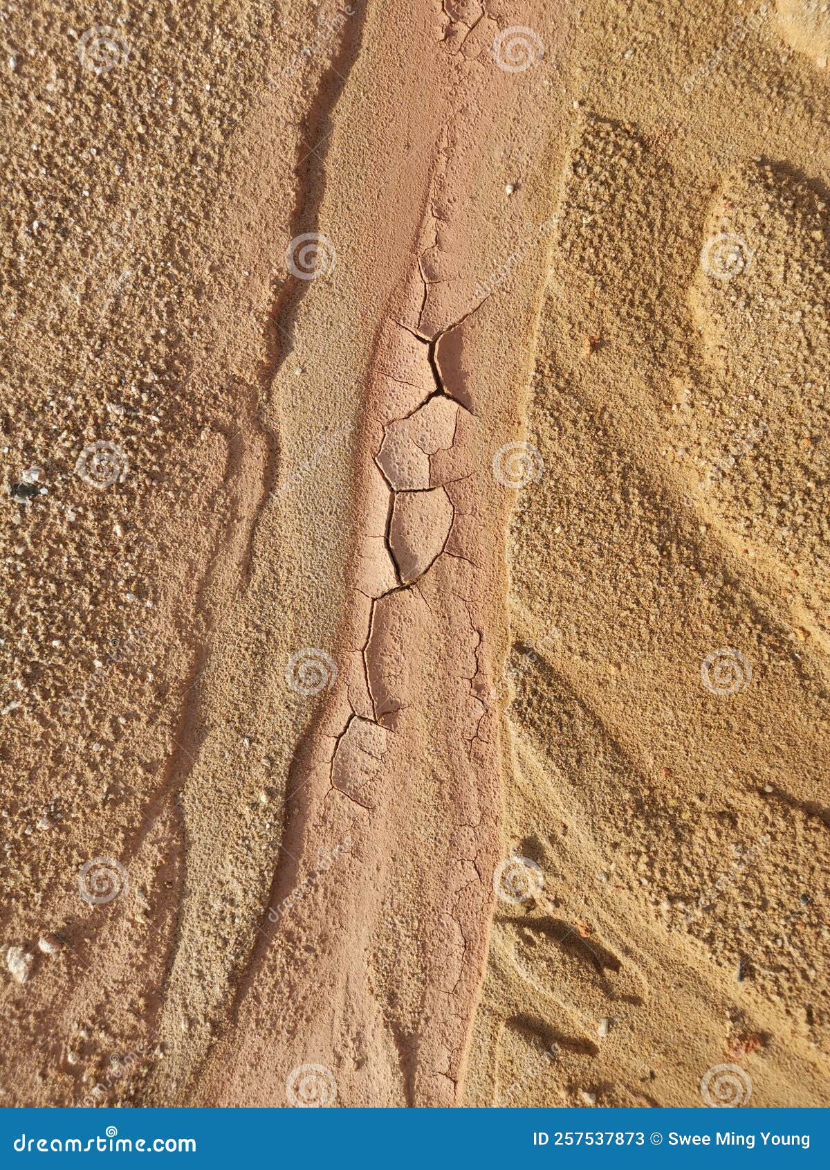 Barren Land Due To Erosion after Deforestation Stock Image - Image of ...