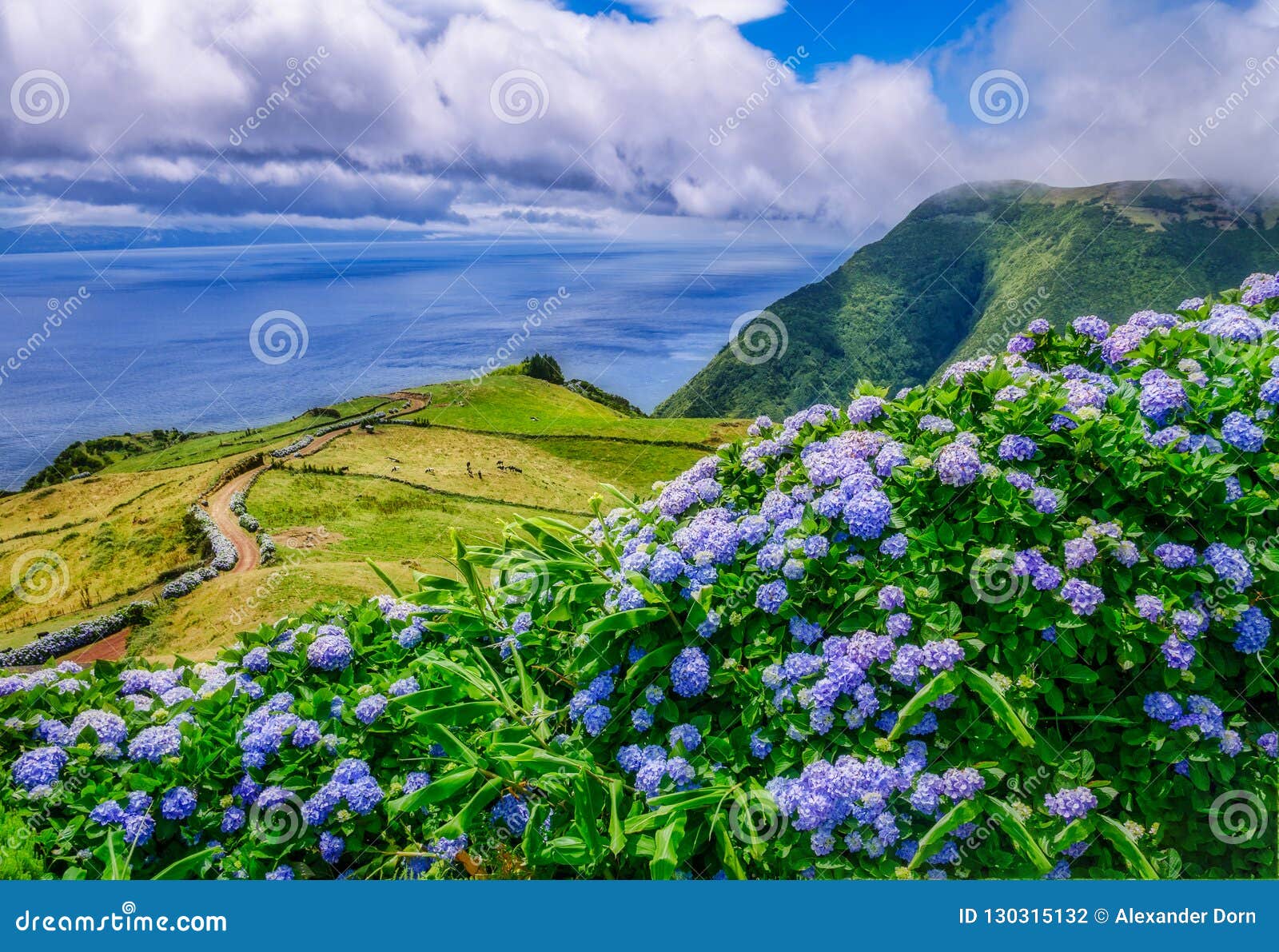 Image of Beautiful Landscape with Hydrangeas and a Path Leading To the ...