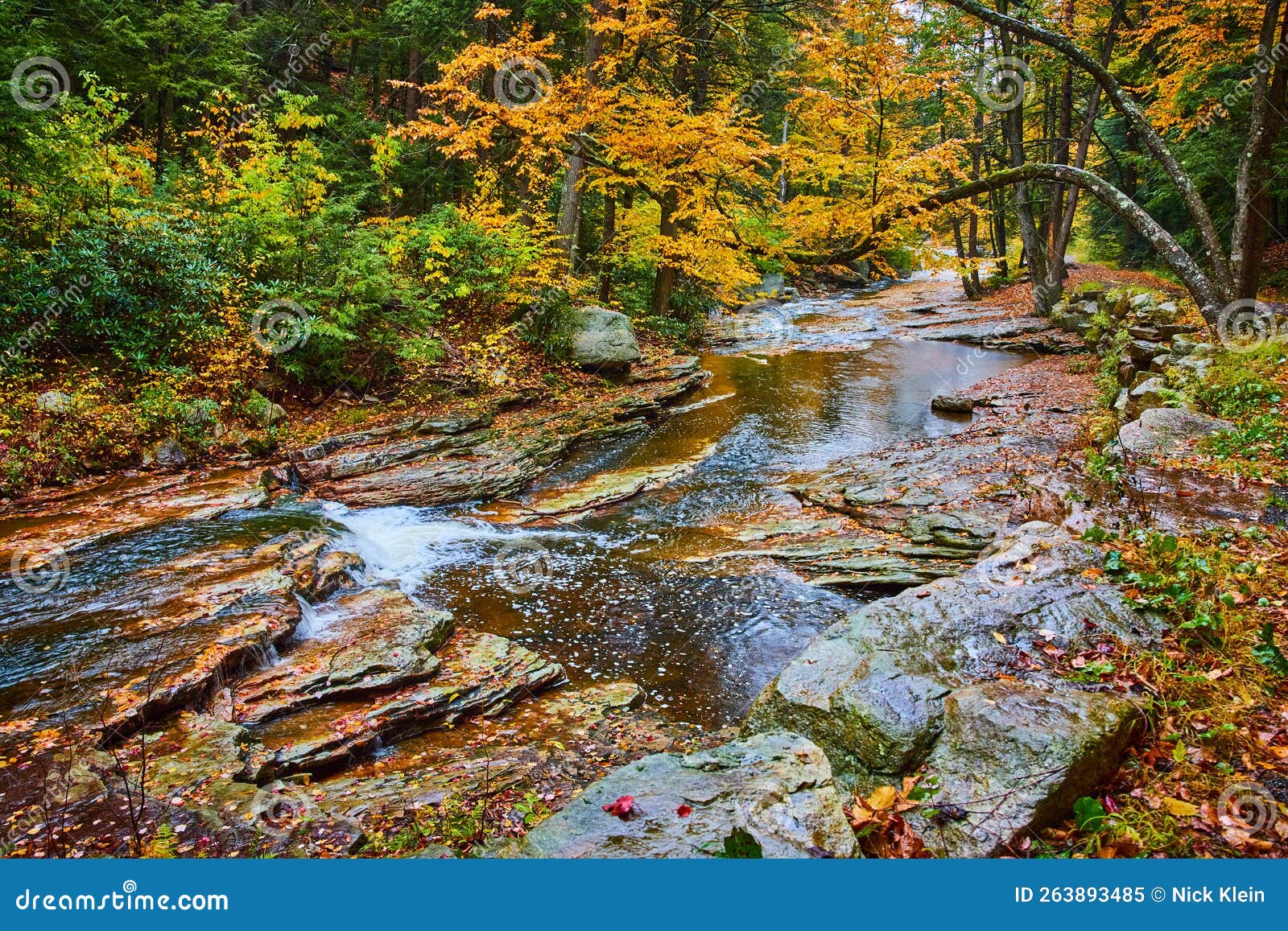 Beautiful River in Peak Fall with Waterfall and Tree Hanging Over with ...