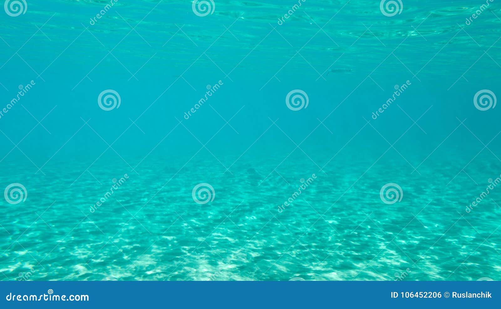 Beautiful Underwater Background Stock Photo - Image of tranquil, water ...