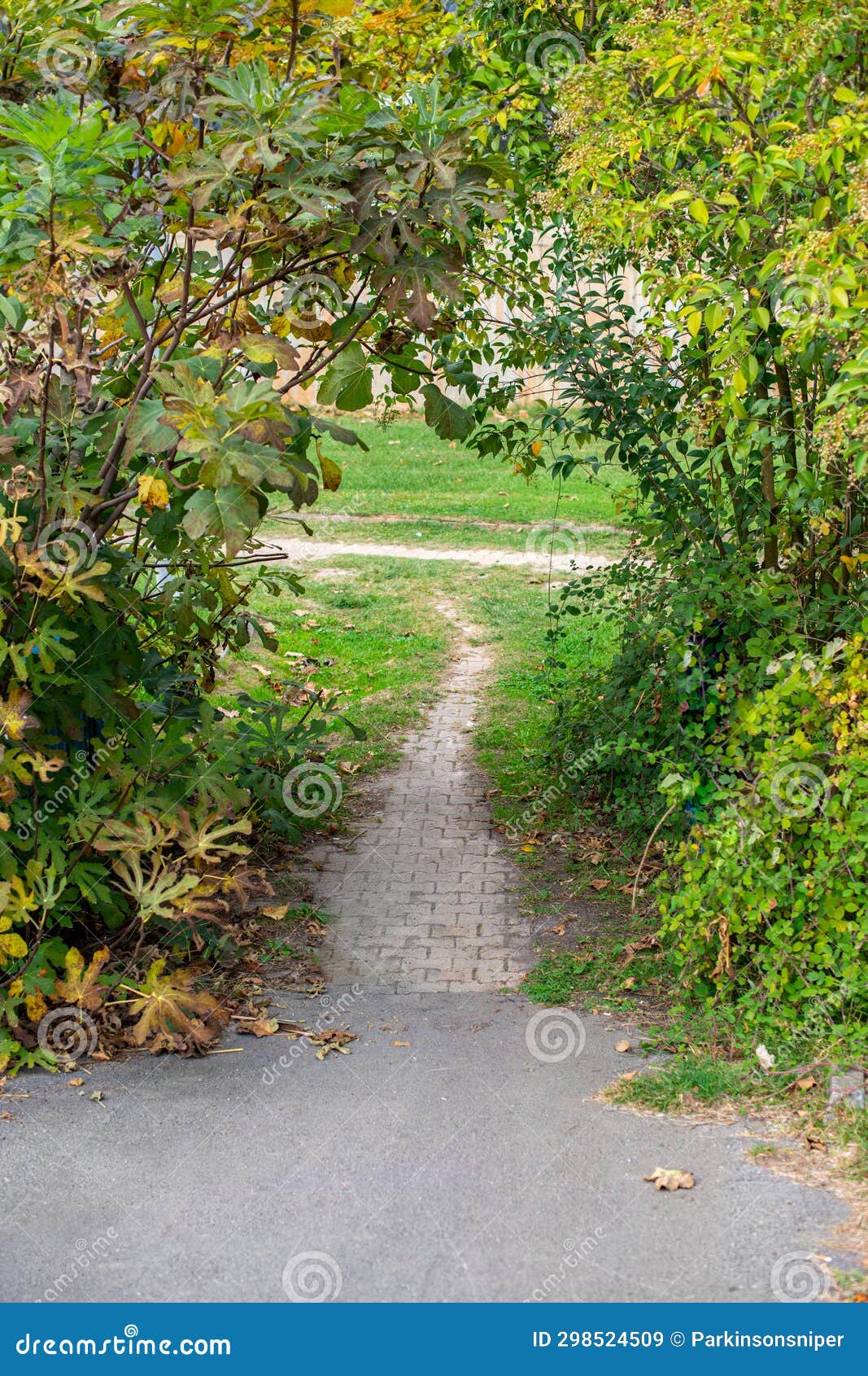 Secluded Cobblestone Pathway Amidst Greenery Stock Image - Image of ...