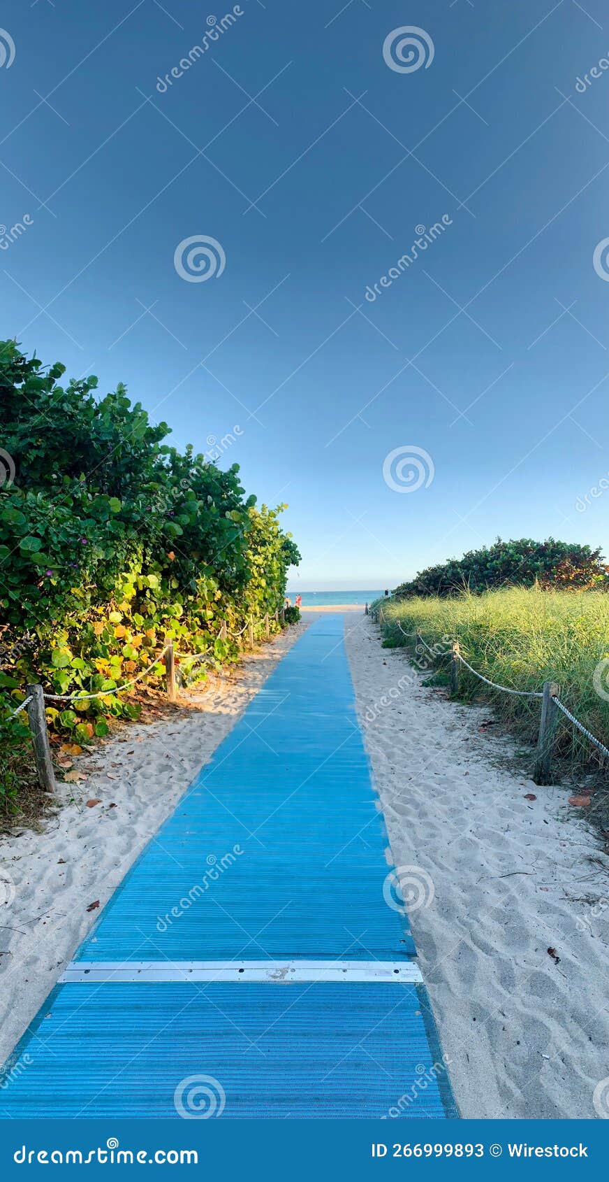 Image of Blue Pathway To the Beach of the Sea. Stock Image - Image of ...