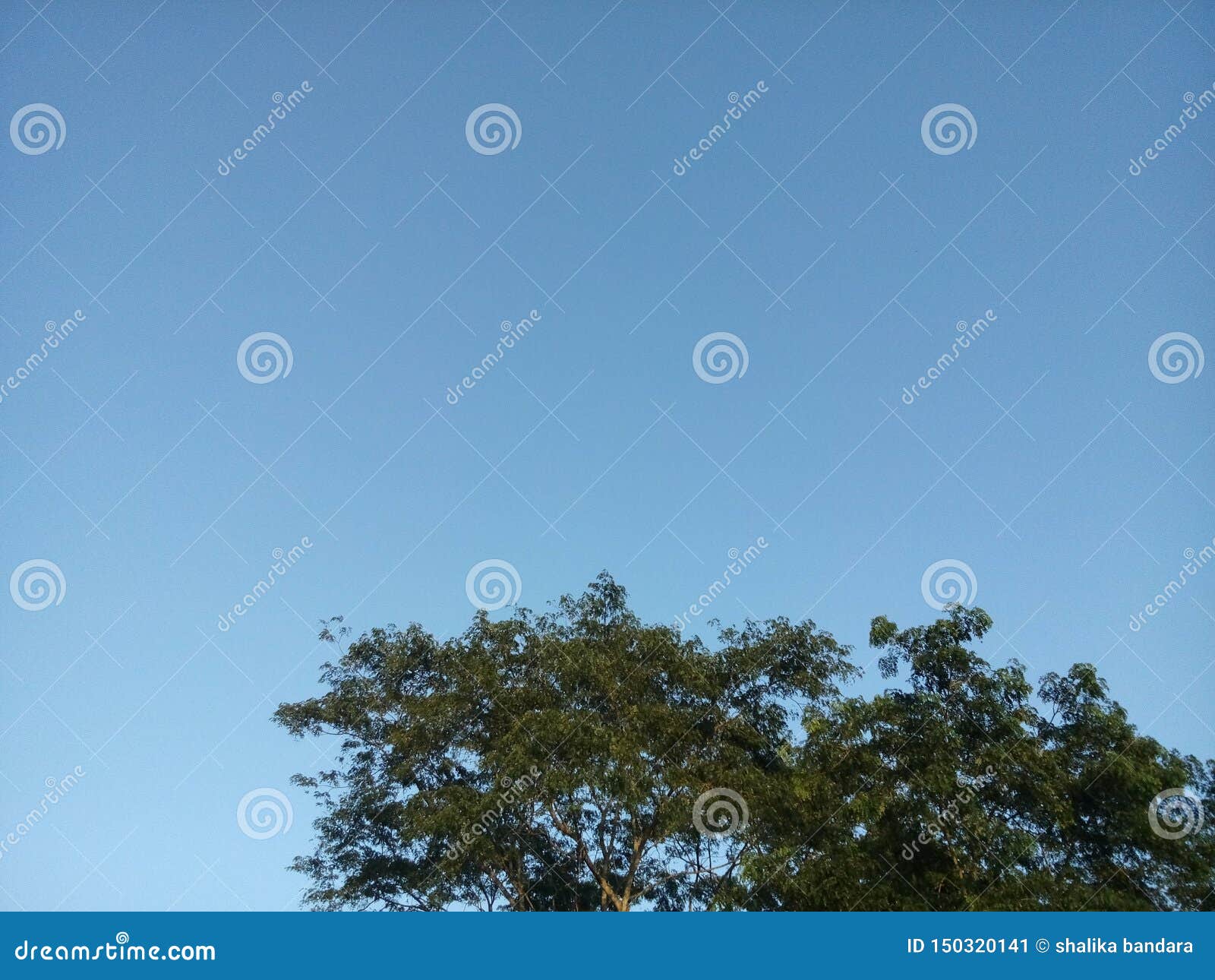 Blue sky at day time stock image. Image of nature, green - 150320141