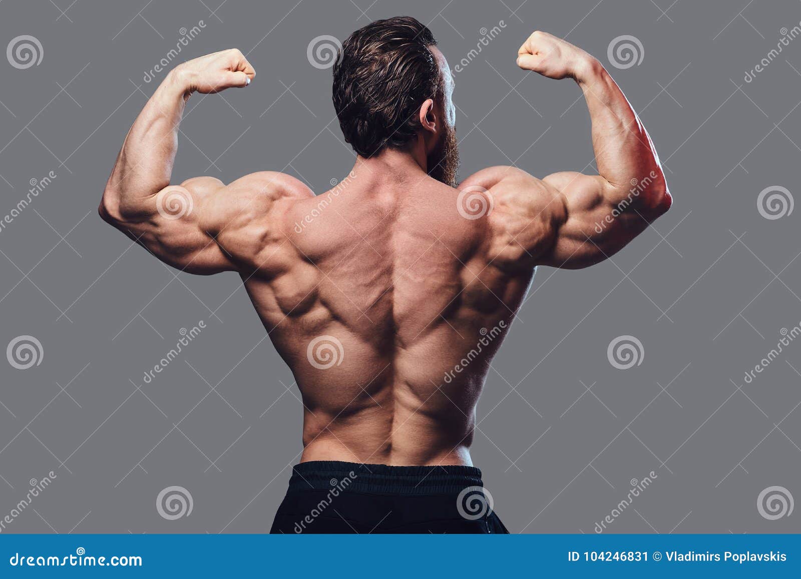 Image of a Bodybuilder from a Back. Stock Image - Image of back, grey ...