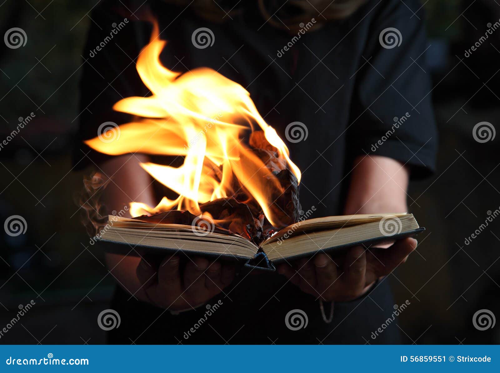 Burning Book On Fire Flames Royalty-Free Stock Photo | CartoonDealer ...
