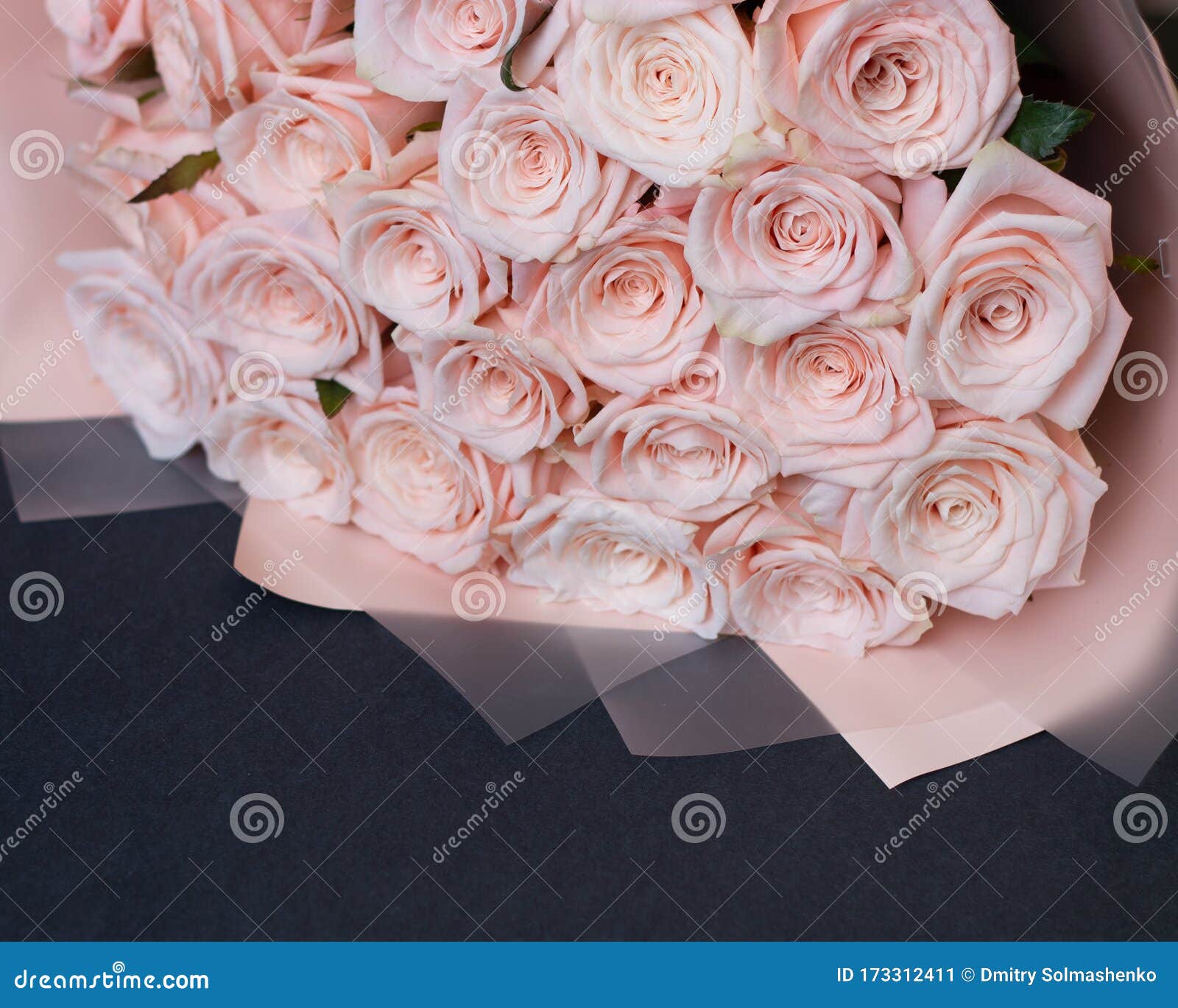 Image of a Bouquet of Fresh Pink Roses on a Gray Background Stock Image ...