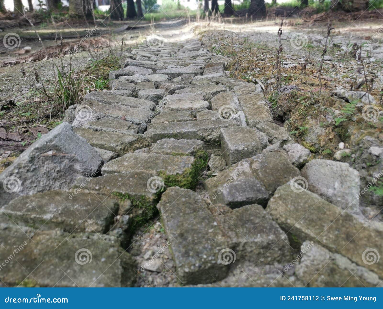 Bricks Pathway into the Rural Countryside Stock Photo - Image of meadow ...