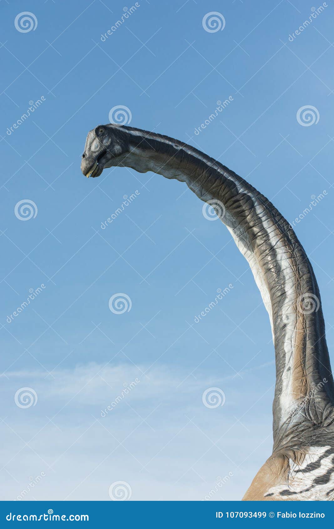 Portrait of a Brontosaurus Over Blu Sky Stock Image - Image of figure ...