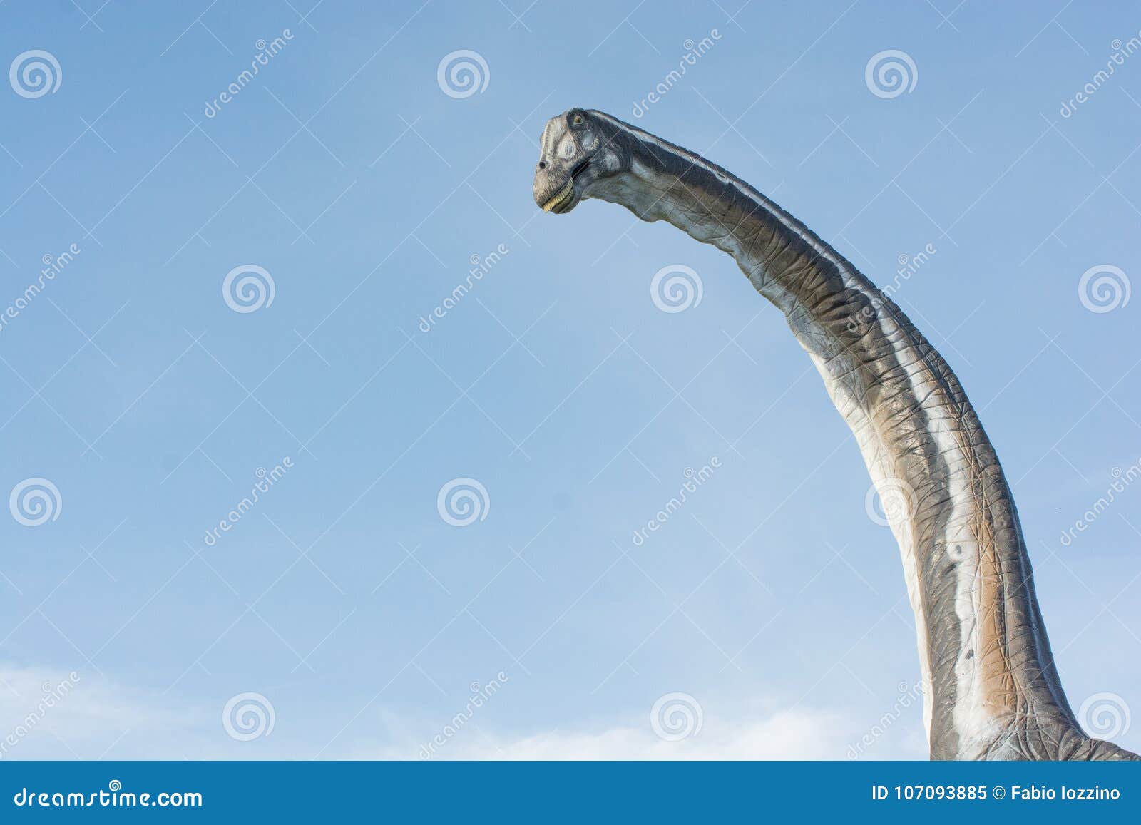 Portrait of a Brontosaurus Over Blu Sky Stock Image - Image of extinct ...