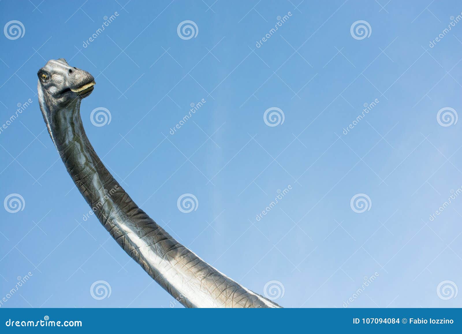 Portrait of a Brontosaurus Over Blu Sky Stock Photo - Image of ...