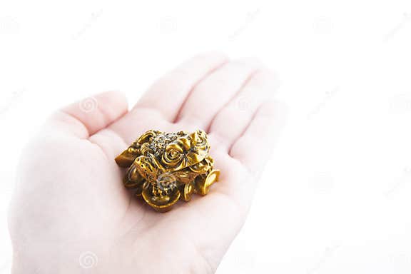 Image of Bronze Toad Hand White Background Stock Photo - Image of ...