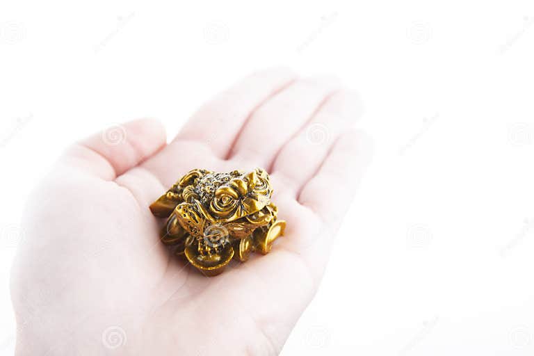 Image of Bronze Toad Hand White Background Stock Photo - Image of ...