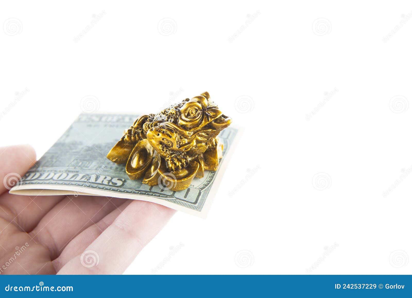Image of Bronze Toad Hand White Background Stock Image - Image of ...