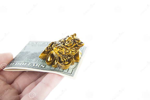 Image of Bronze Toad Hand White Background Stock Image - Image of ...