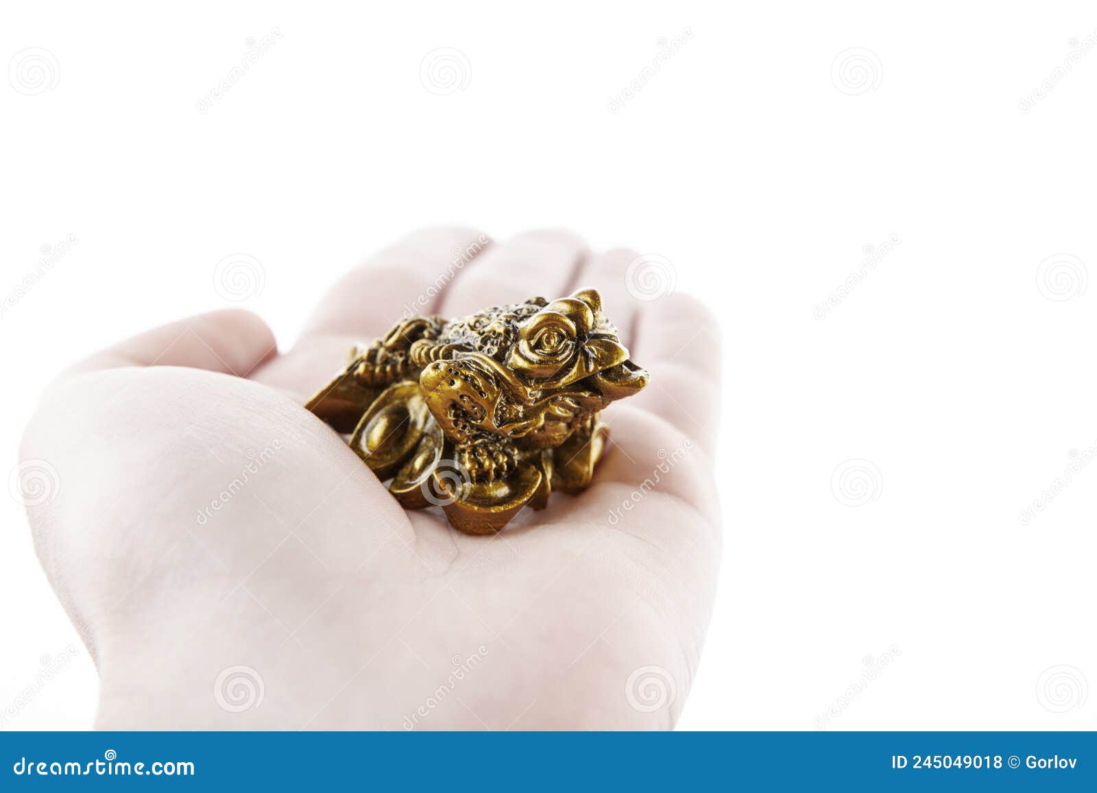 Image of Bronze Toad Hand White Background Stock Photo - Image of hope ...