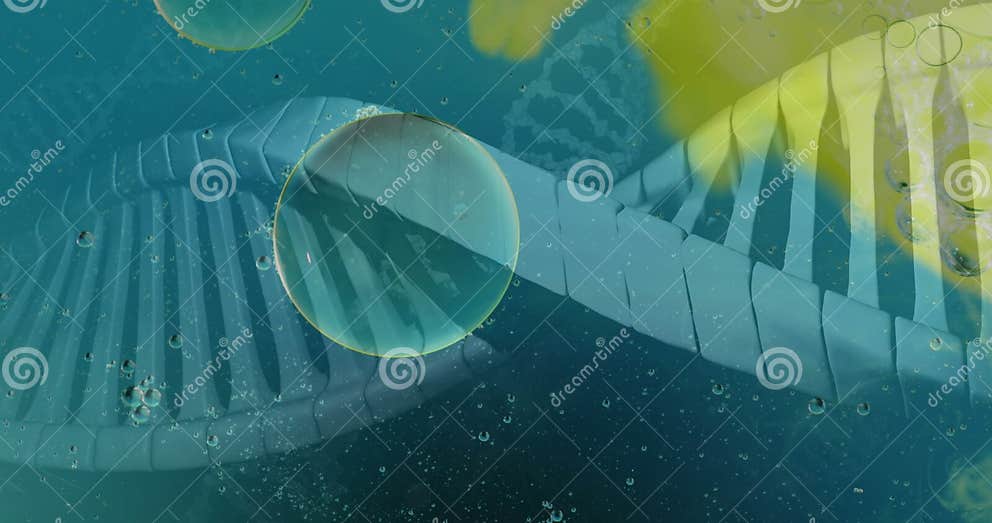 Image of Bubbles Over Dna Strands on Blue Background Stock Illustration ...