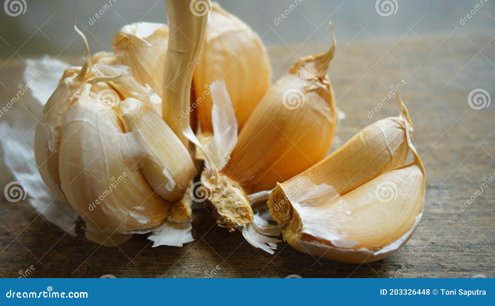 Image of a bulb of garlic stock photo. Image of kitchen - 203326448