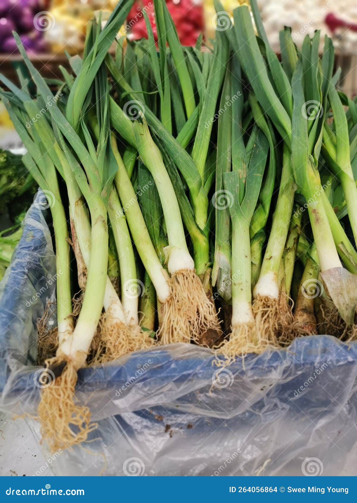 Bundle of the Fresh Green China Leeks Stock Photo - Image of chinese ...