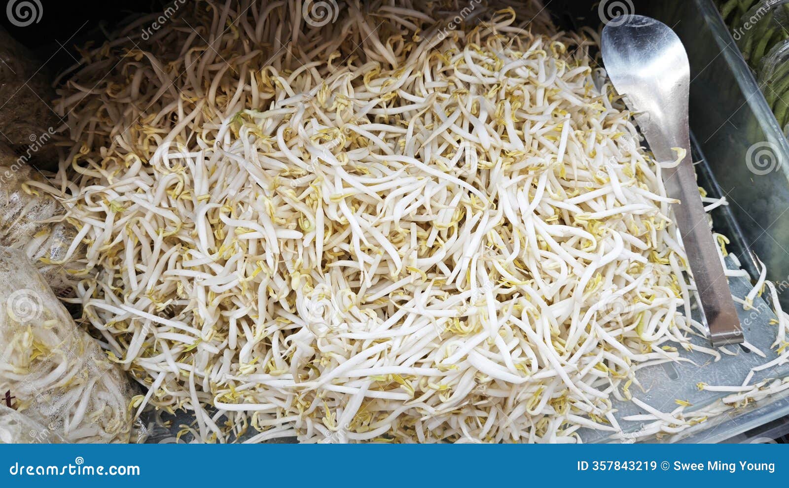 Bundle of Fresh Mung Bean Sprouts on Display. Stock Image - Image of ...