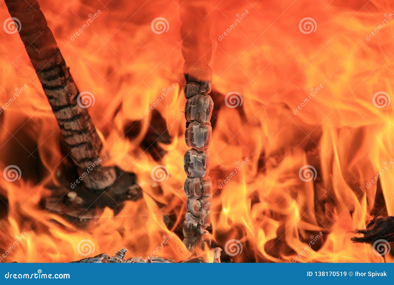 Image of Burning Fire with Burnt Firewood Stock Image - Image of ...