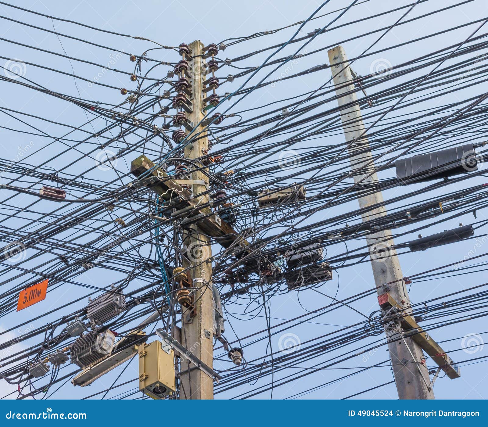 Image of Busy Line on Electric Pole. Stock Photo - Image of plant ...