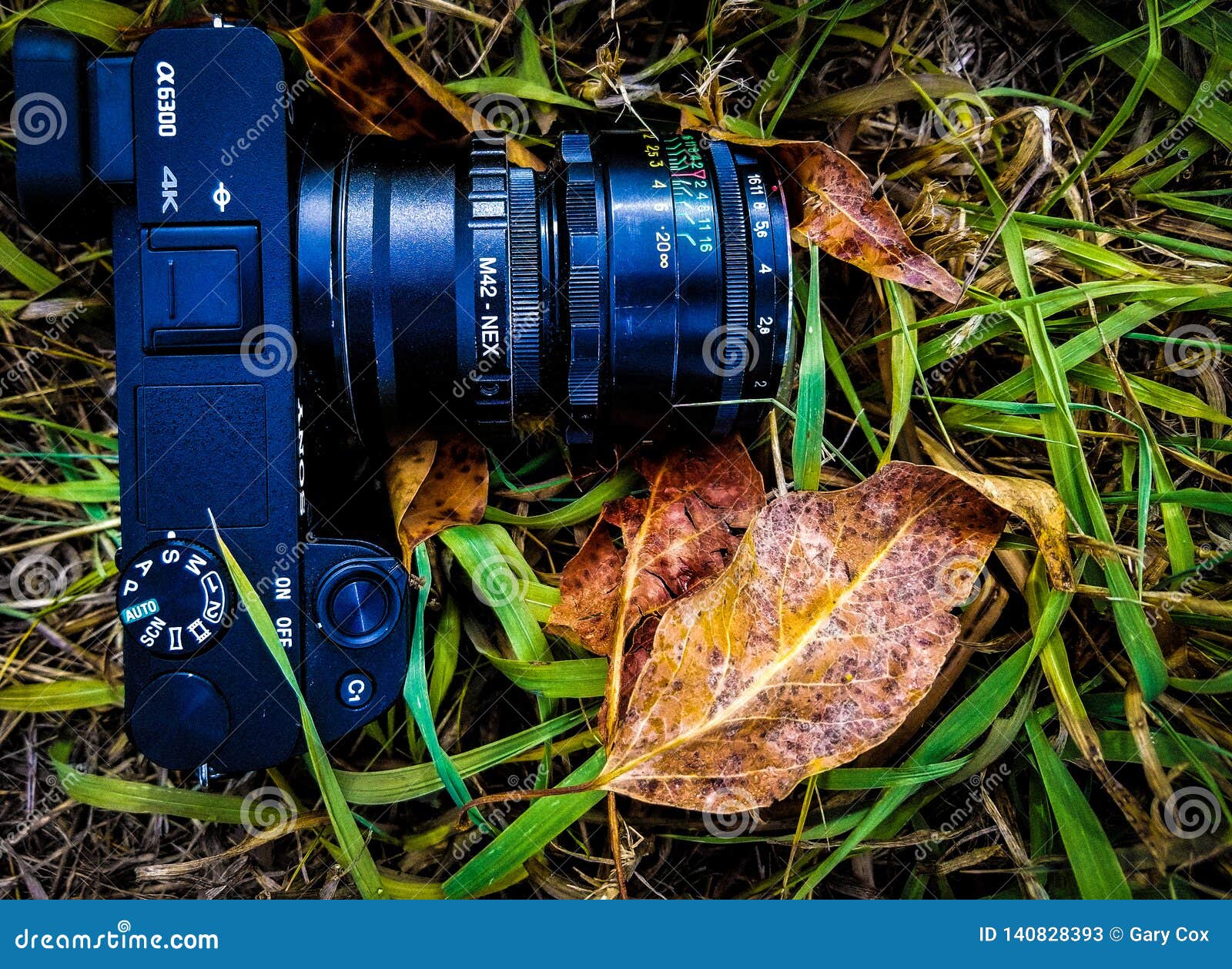 Camera in Grass with Leaves Editorial Stock Photo - Image of blue ...