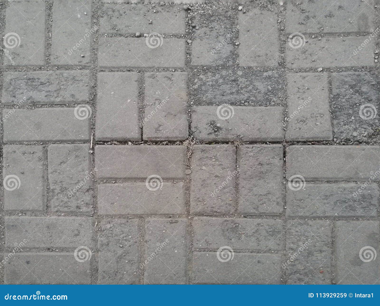 Dirty Gray Pathway Top View; Tiny Rubbles and Dust; Paved with Brick ...