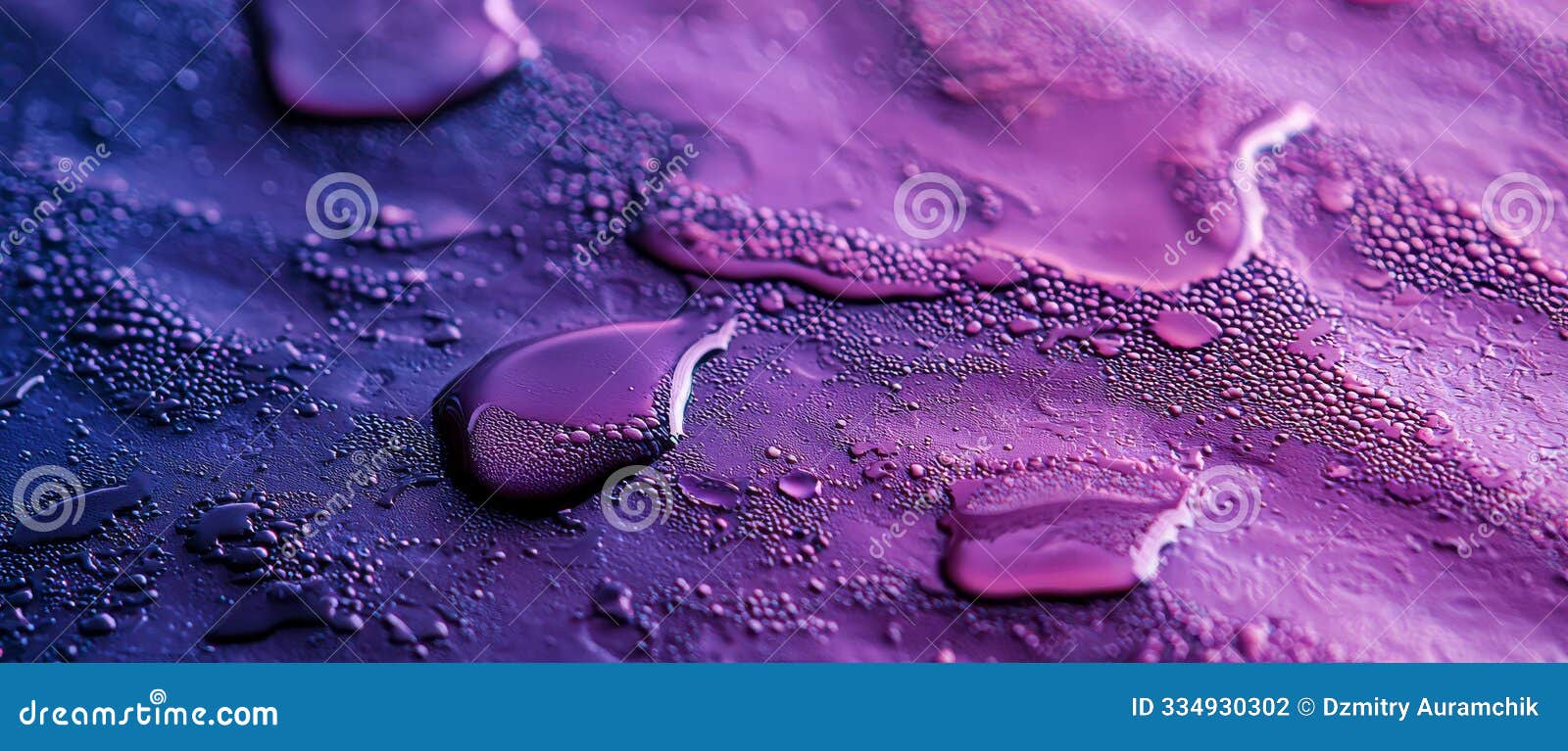 Image Capture of Biological Slides Capturing Detailed Views of Their ...