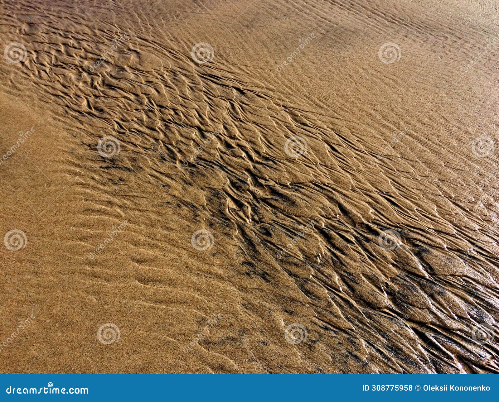 The Image Captures a Close-up of Sand with Intricate Patterns Formed by ...