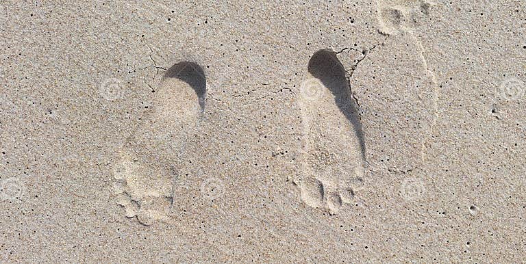 Little Person Footprints on the Beach Stock Image - Image of barefoot ...