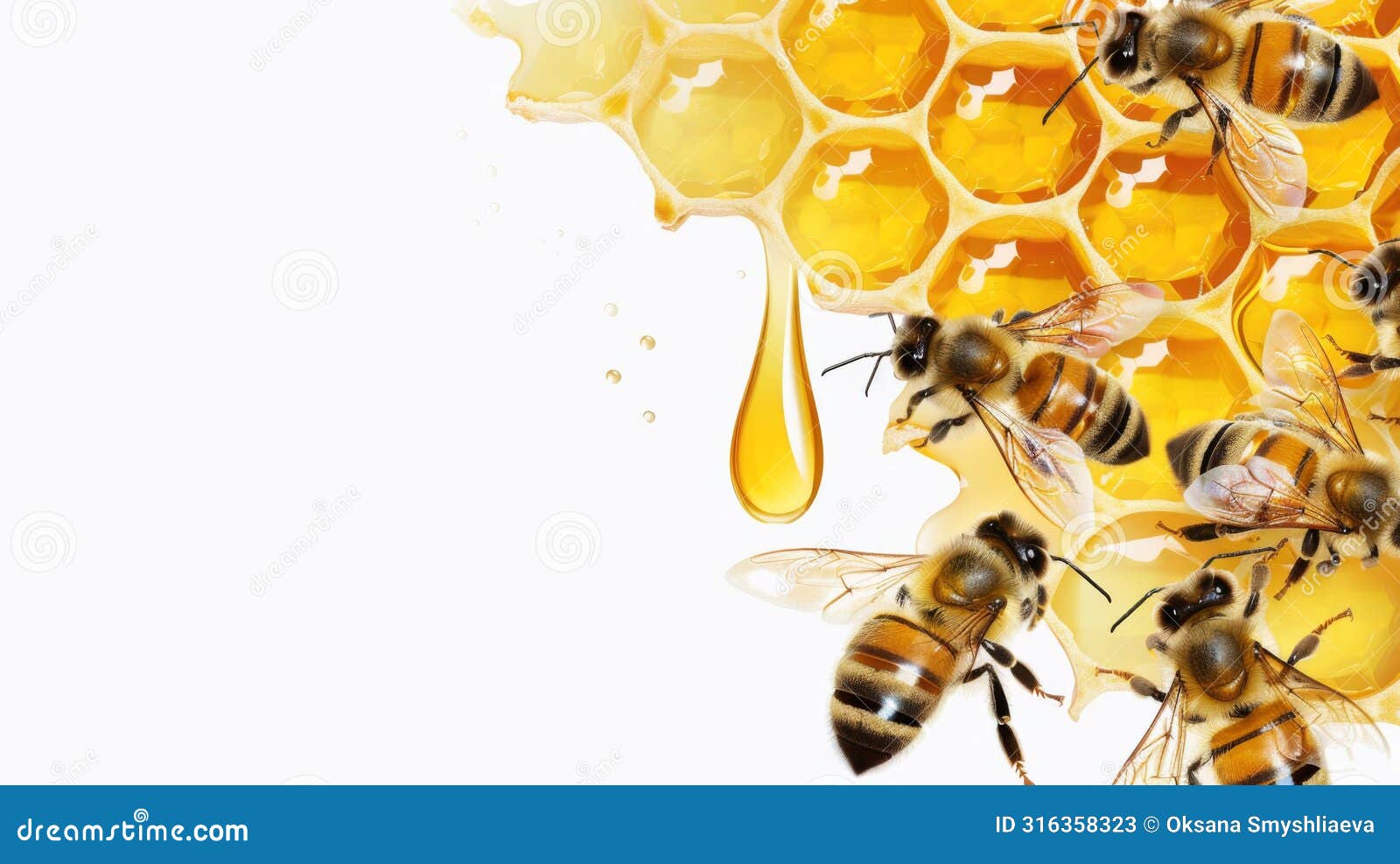 This Image Captures the Essence of the Hive, Featuring Bees in Various ...