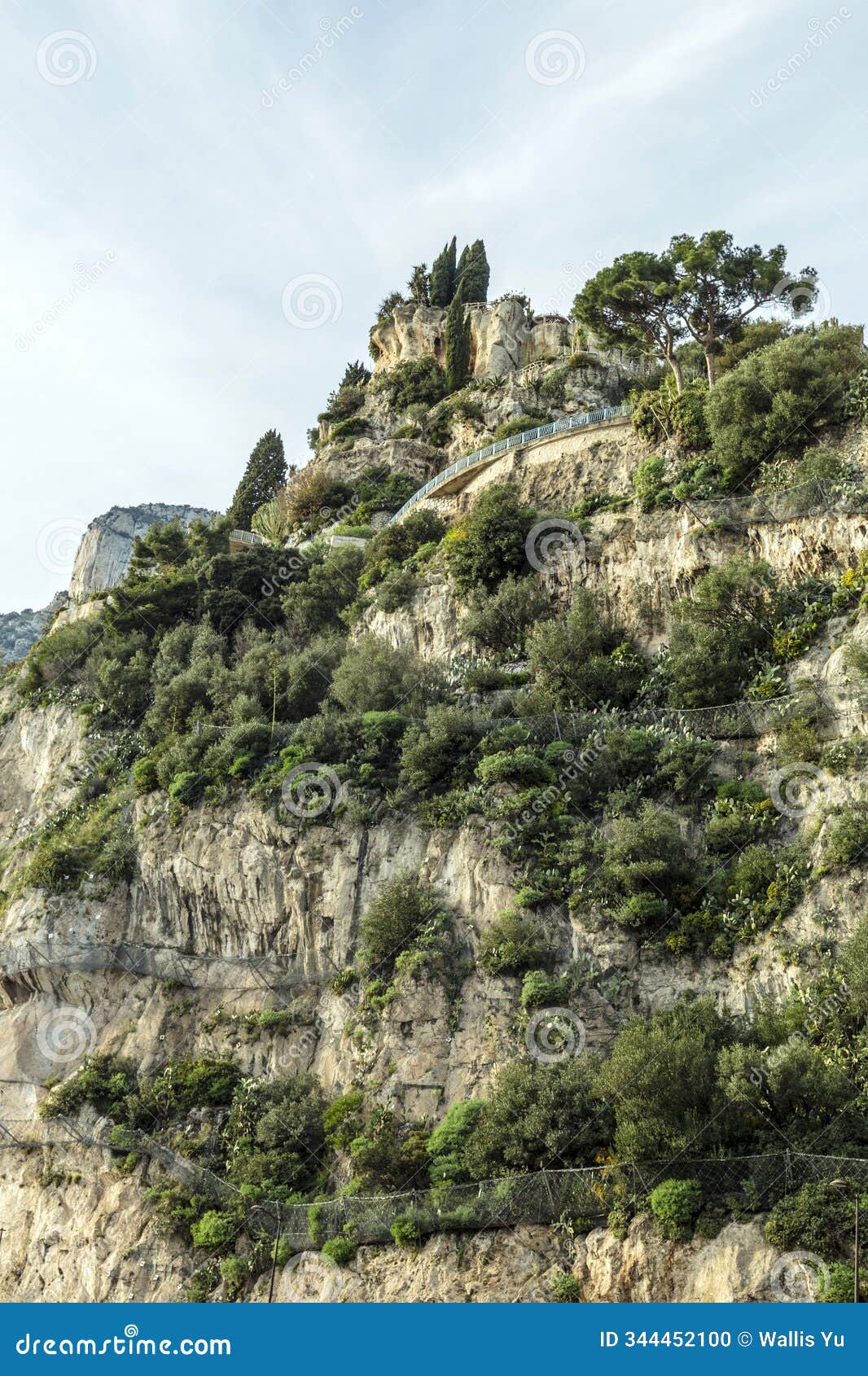 Scenic Cliffside Path in Monaco Stock Photo - Image of plateau, plant ...