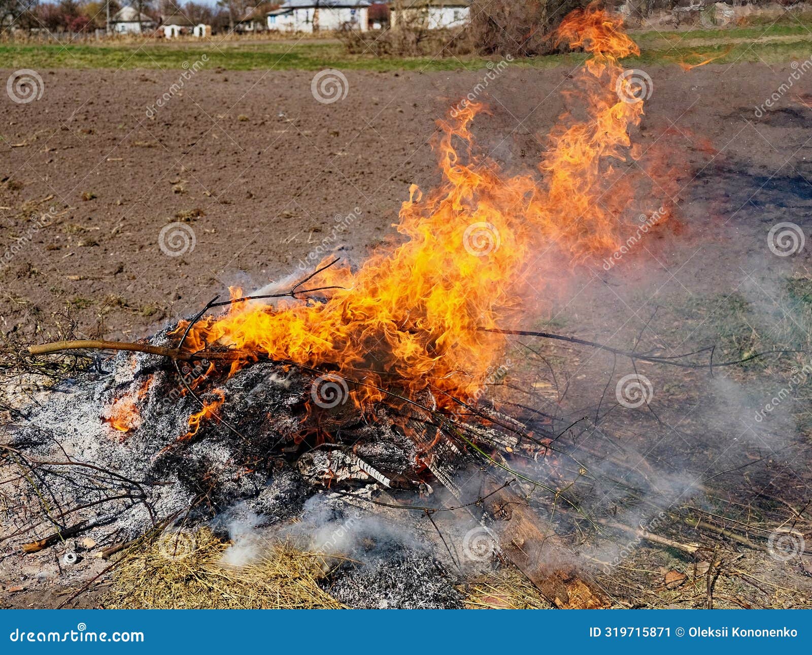 The Image Captures a Small but Intense Fire Burning on the Ground Stock ...
