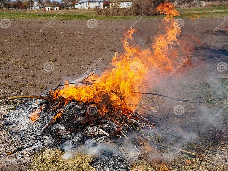 The Image Captures a Small but Intense Fire Burning on the Ground Stock ...
