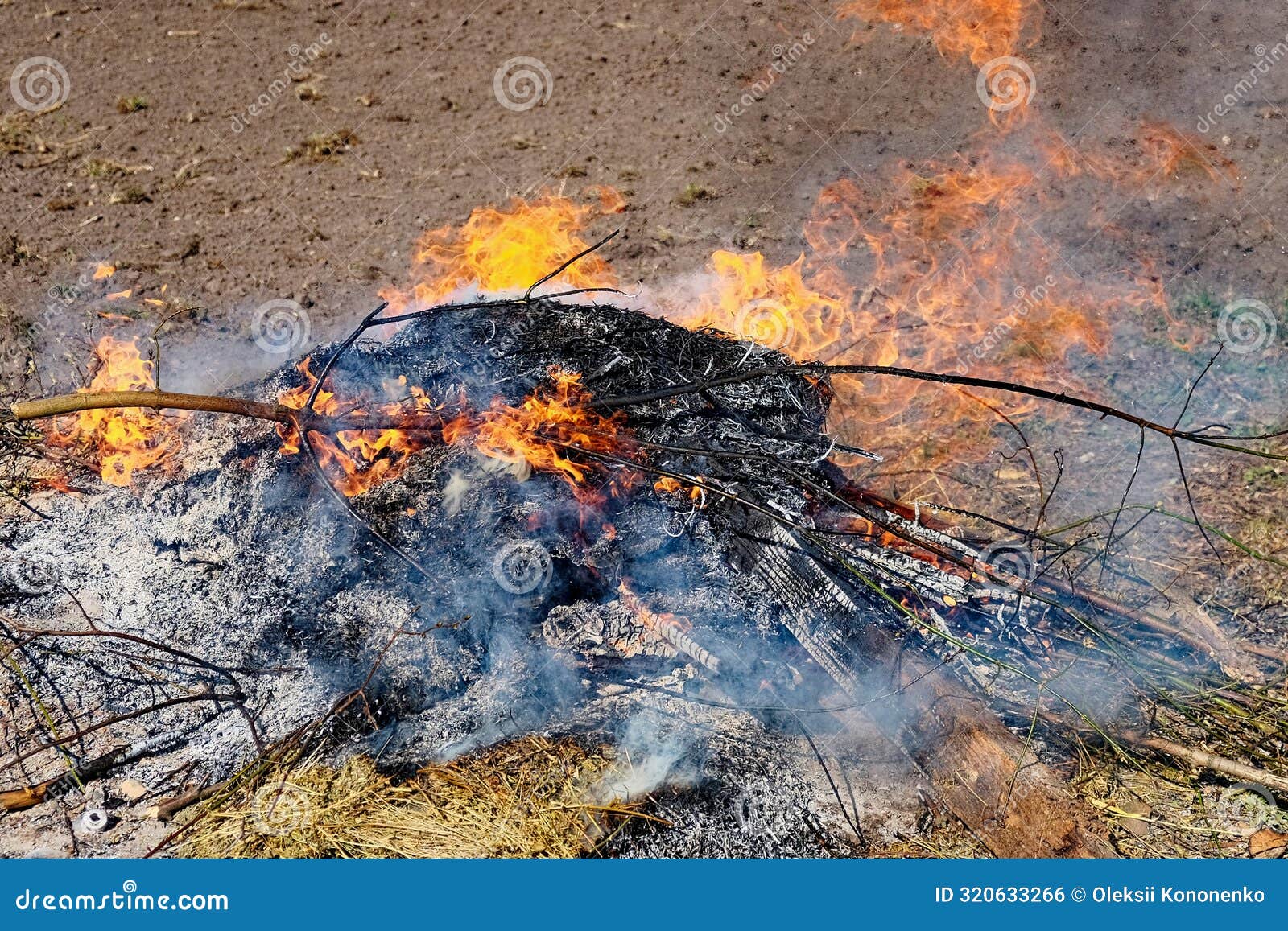 The Image Captures a Small but Intense Fire Burning on the Ground Stock ...