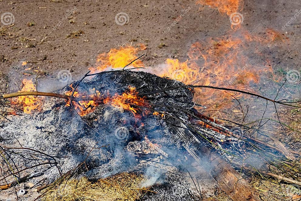 The Image Captures a Small but Intense Fire Burning on the Ground Stock ...