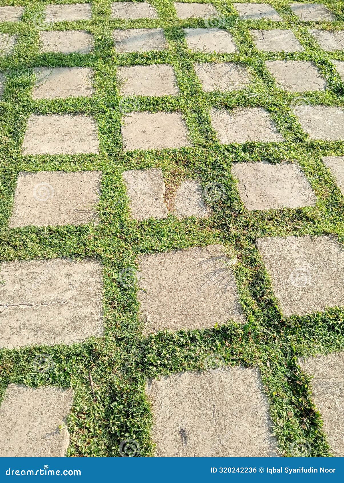 Square Paving Block Footpath with Green Grass Stock Photo - Image of ...