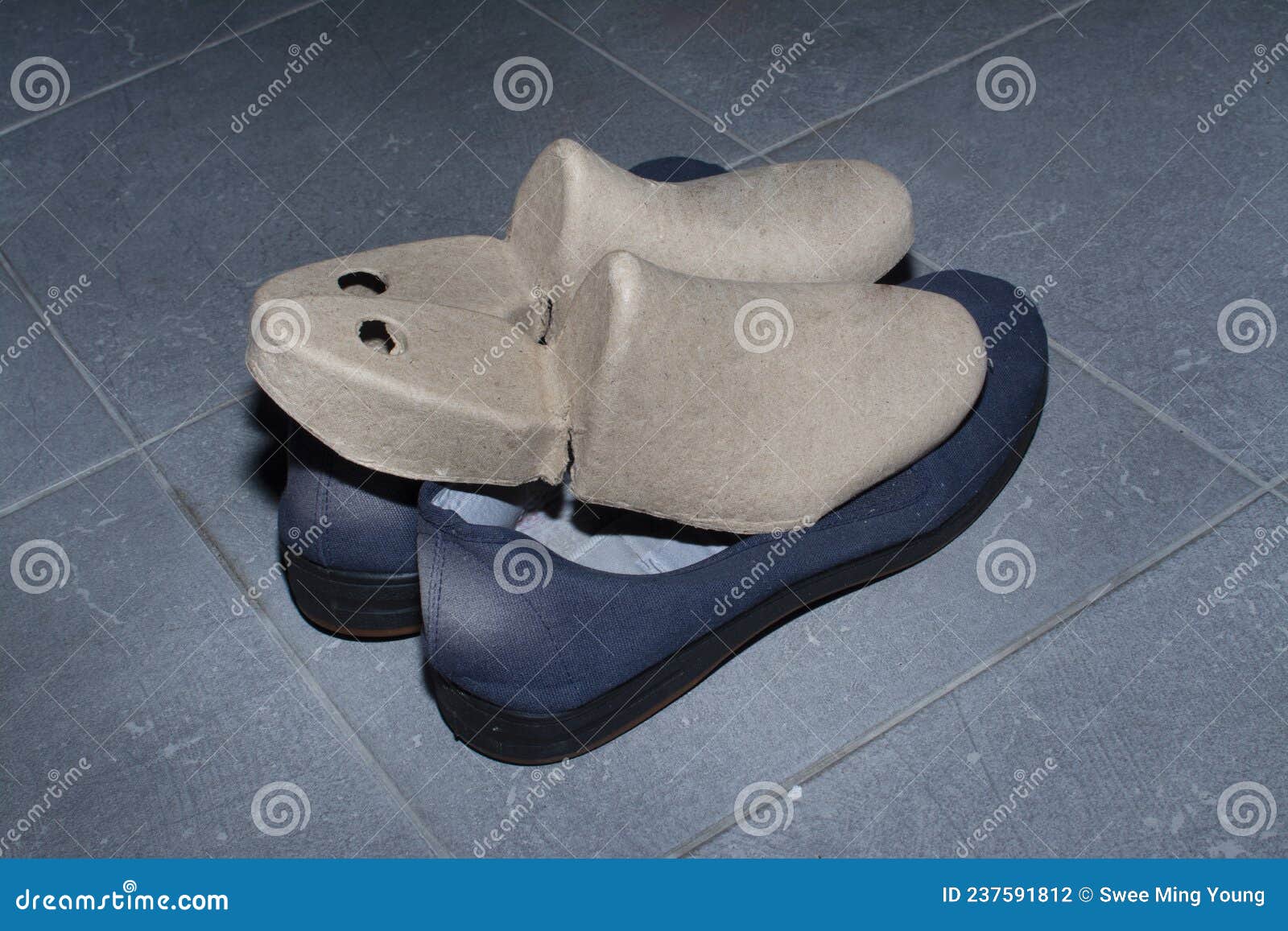 Cardboard Shoe Tree or Insert Accessory Stock Photo - Image of insert ...