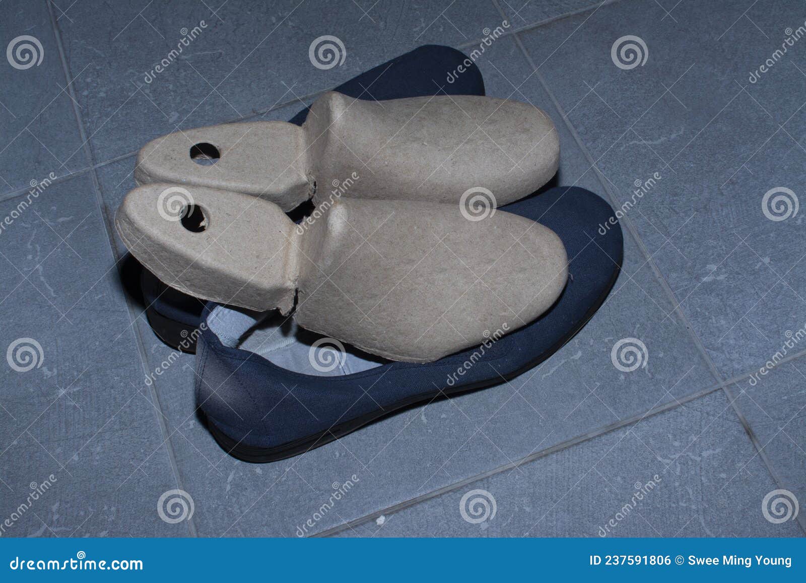 Cardboard Shoe Tree or Insert Accessory Stock Photo - Image of boot ...