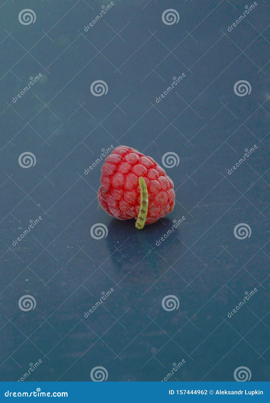 Caterpillar on the Rapsberry Stock Photo - Image of dacha, barries ...