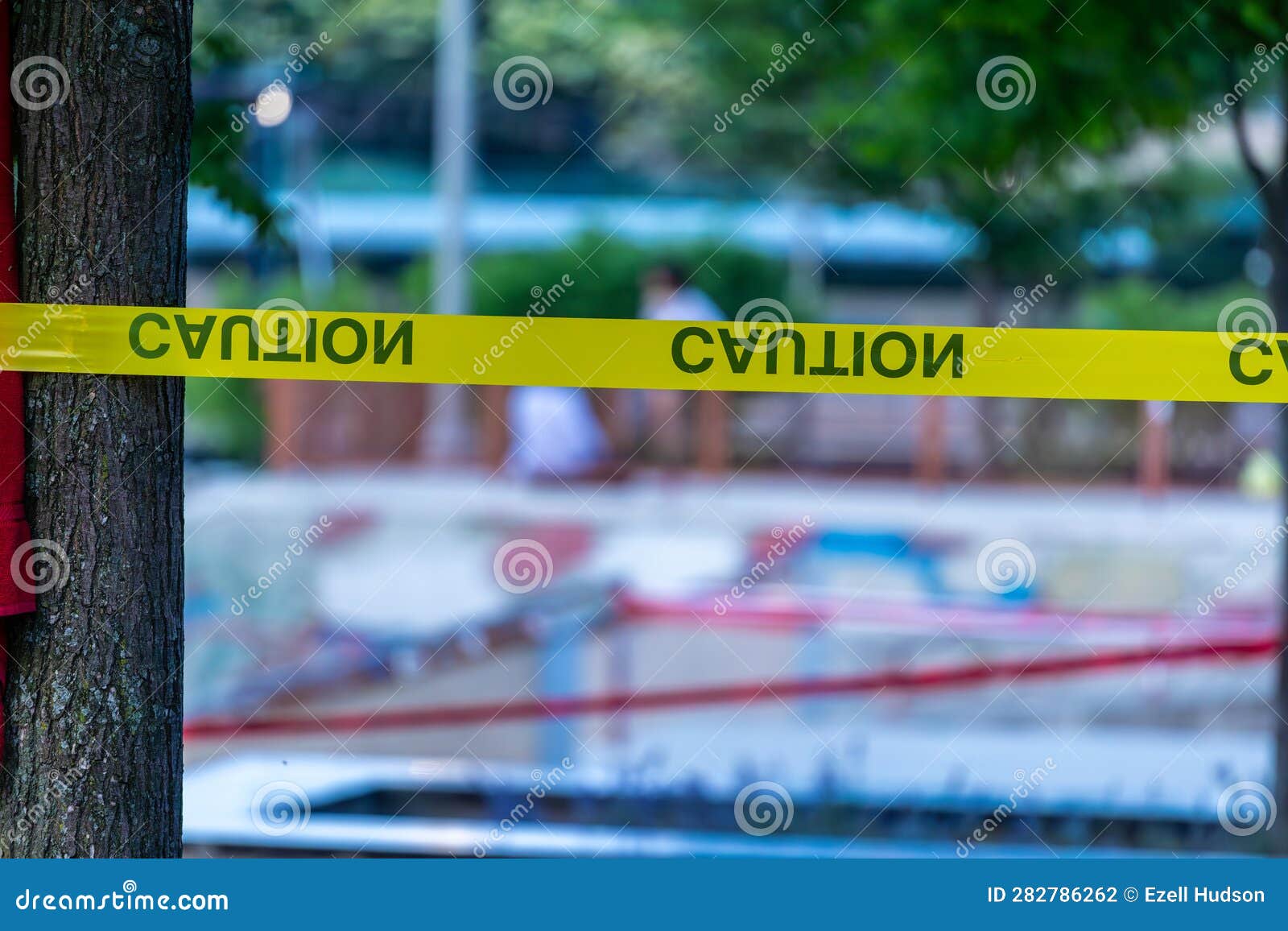 Image of a Caution Tape Around Tree Blocking Access To a Crime Scene ...