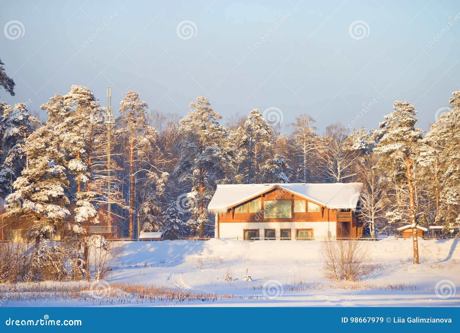 Image of a Chalet Located in a Forest Stock Image - Image of ...