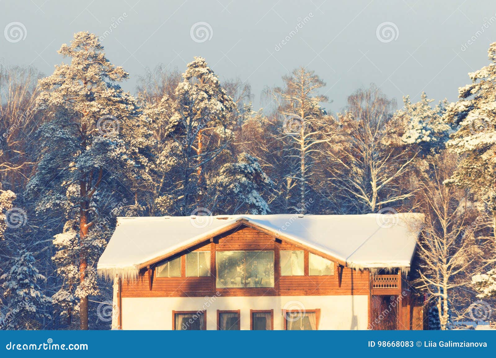 Image of a Chalet Located in a Forest Stock Image - Image of russia ...