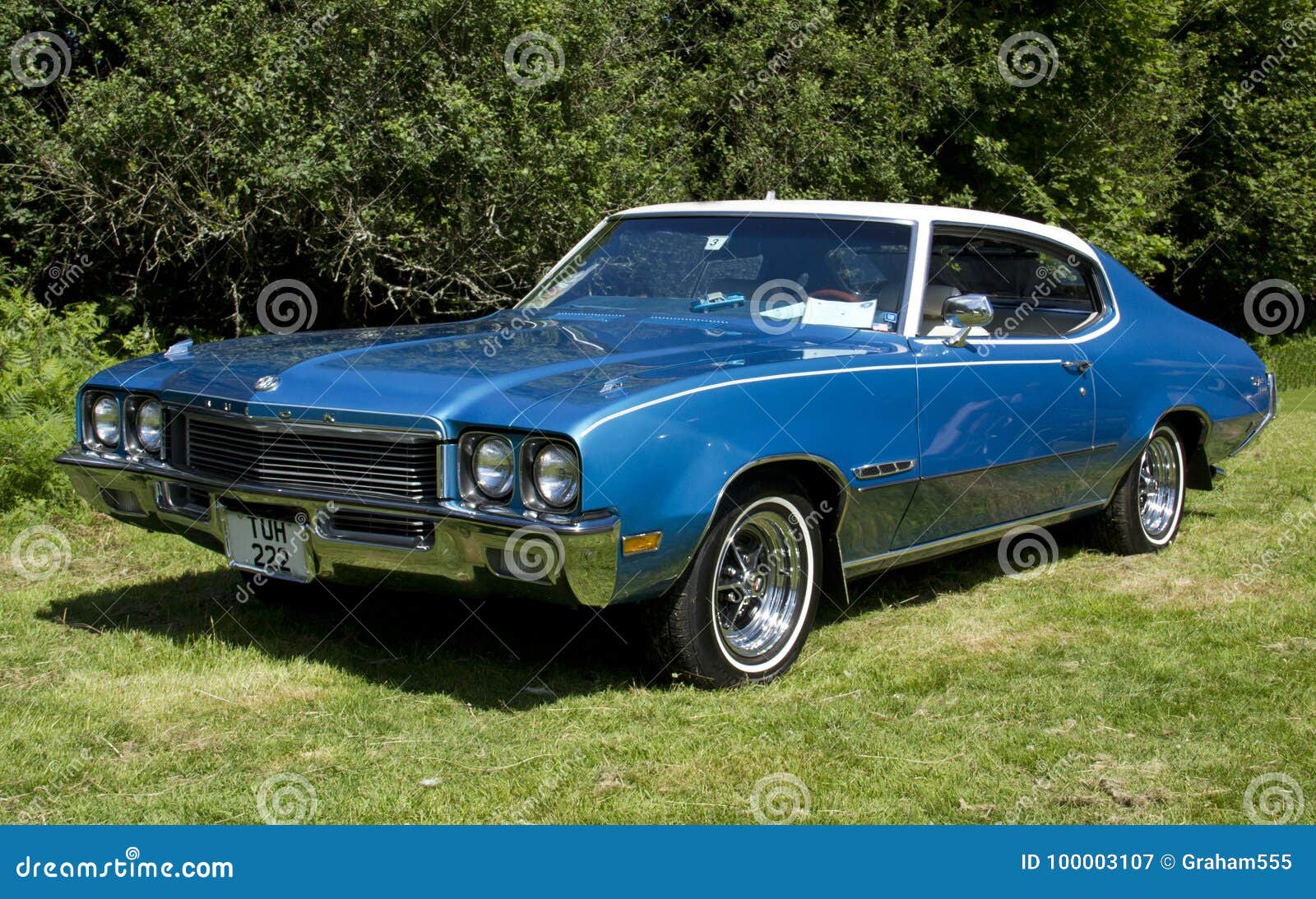 Blue Buick Skylark Classic Car on Display at a Classic Car Show in ...