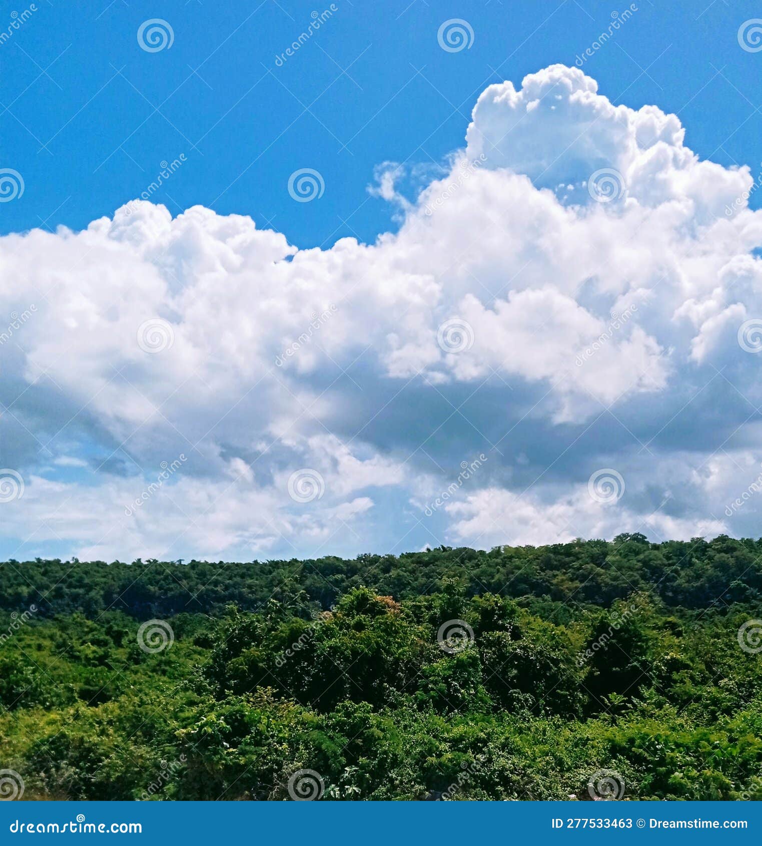 Image of Cliff Sky Cloud Forest Scenery Stock Image - Image of scenery ...